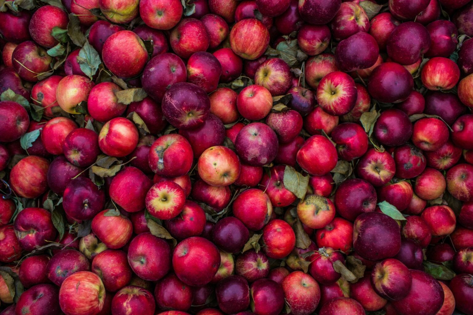 Sabes Qué son las Manzanas - InGastroConcepts.com